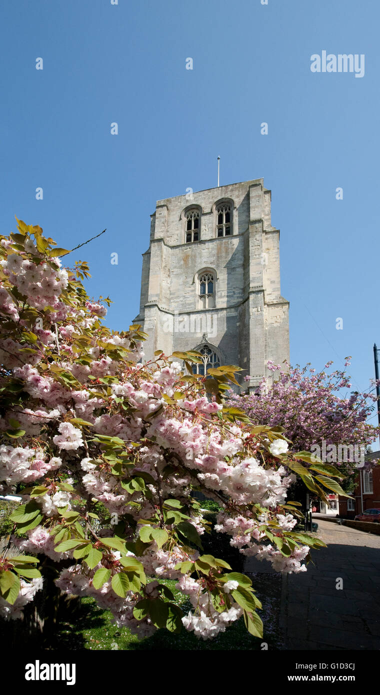Saint michaels church beccles hi-res stock photography and images - Alamy
