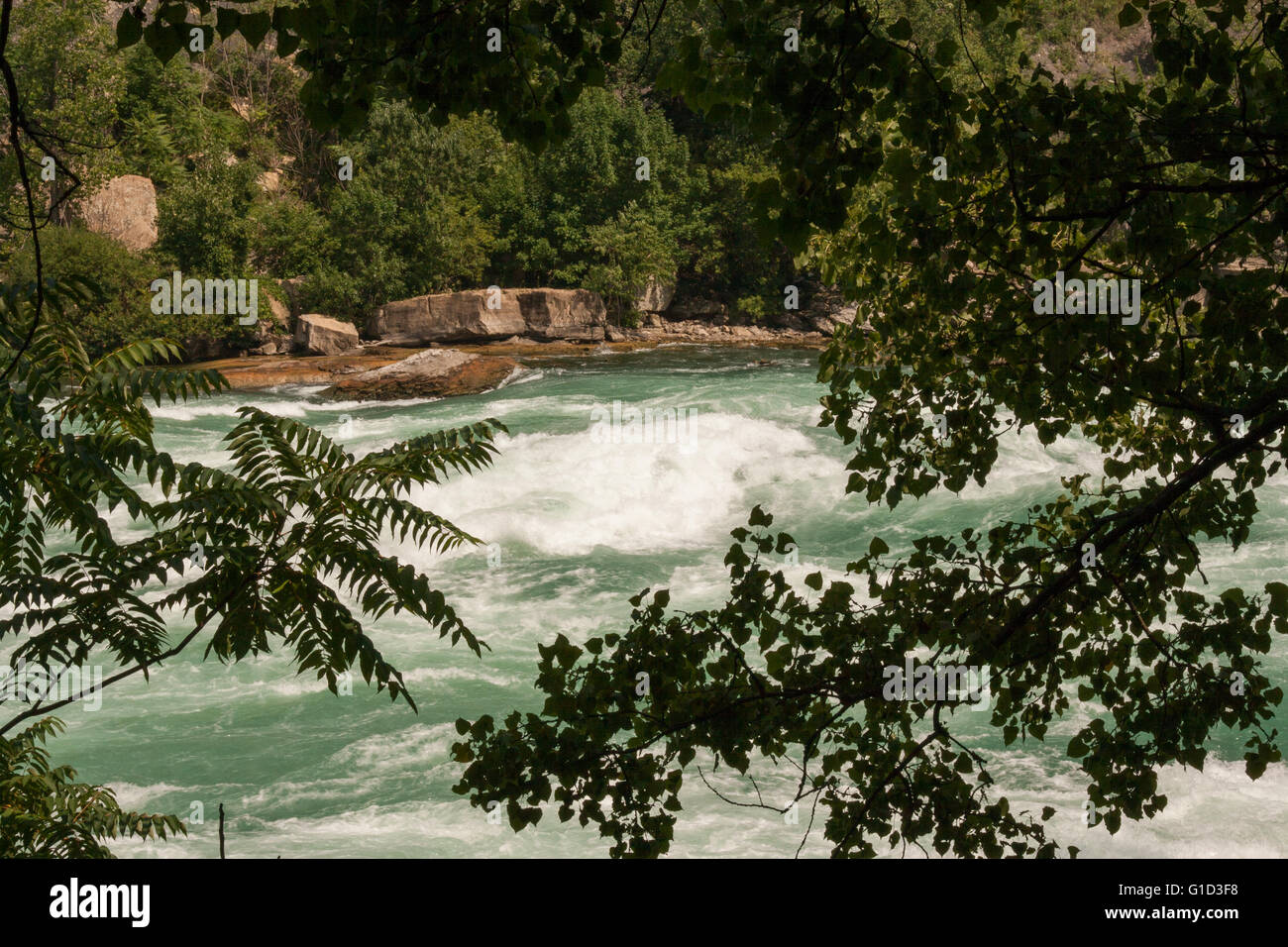 Class 6 rapids along the White Water walk Great Gorge, Niagara Falls ...