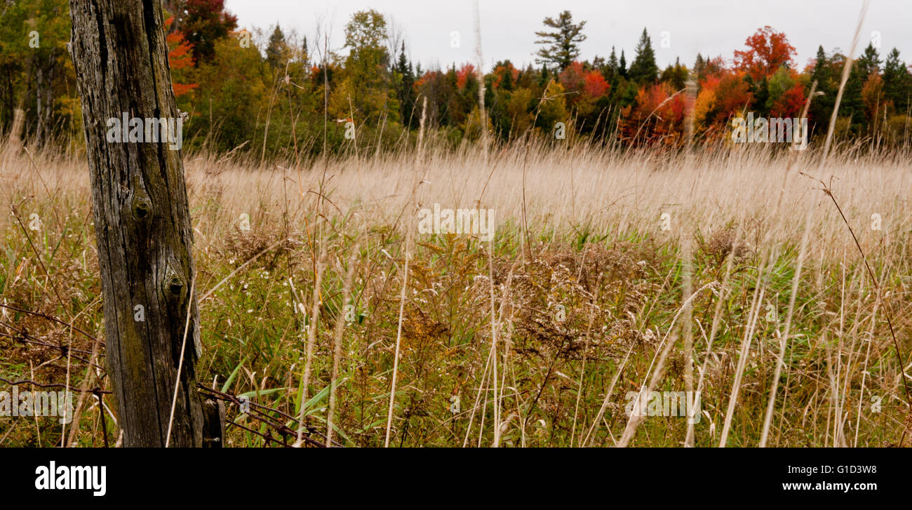 Hay field in fall Stock Photo - Alamy