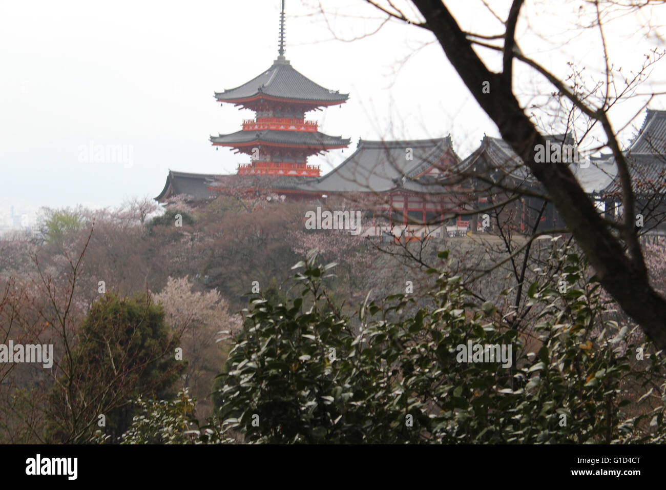 Trip to Japan 2016 Stock Photo - Alamy