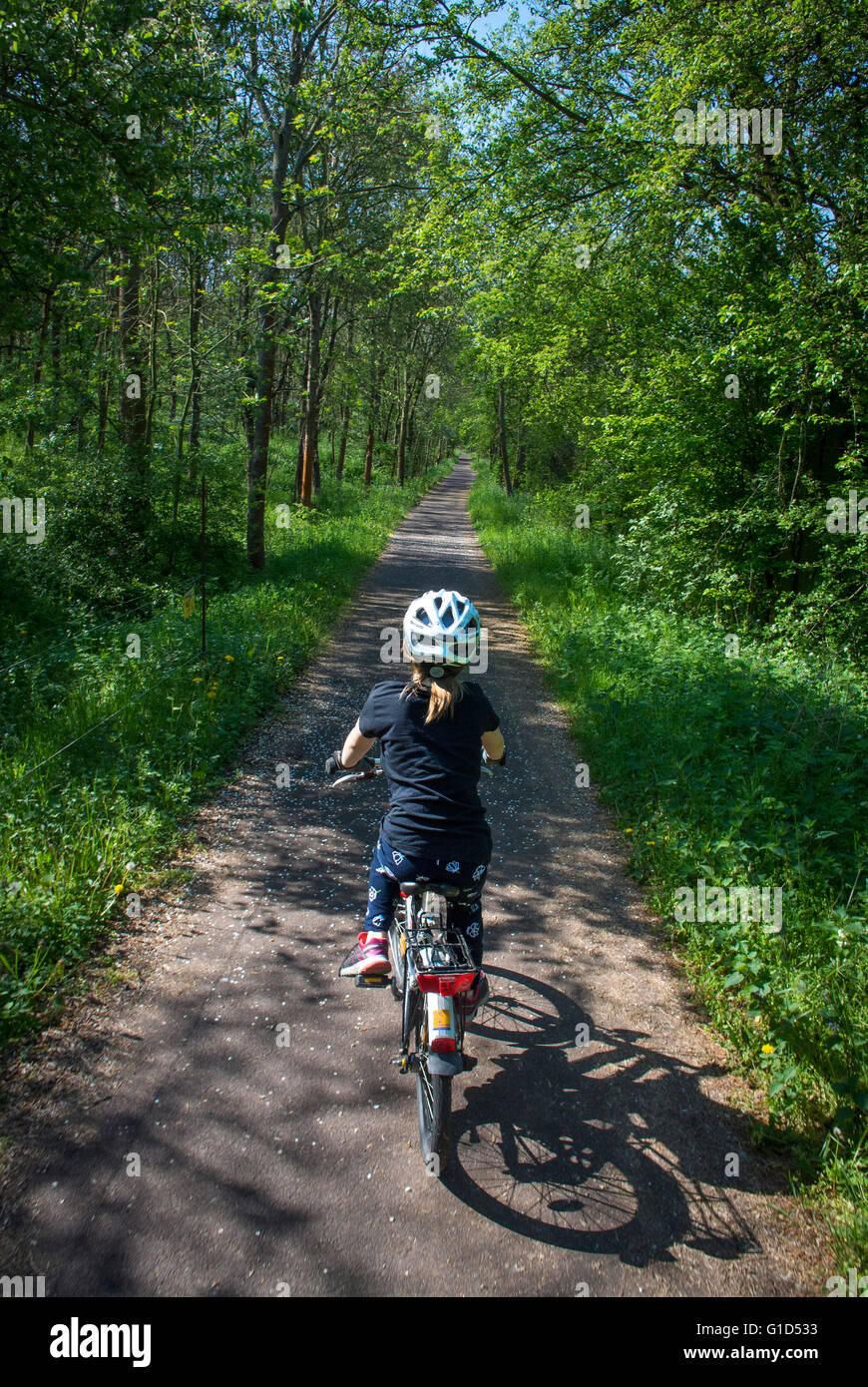 Cycling through the woods hi-res stock photography and images - Alamy