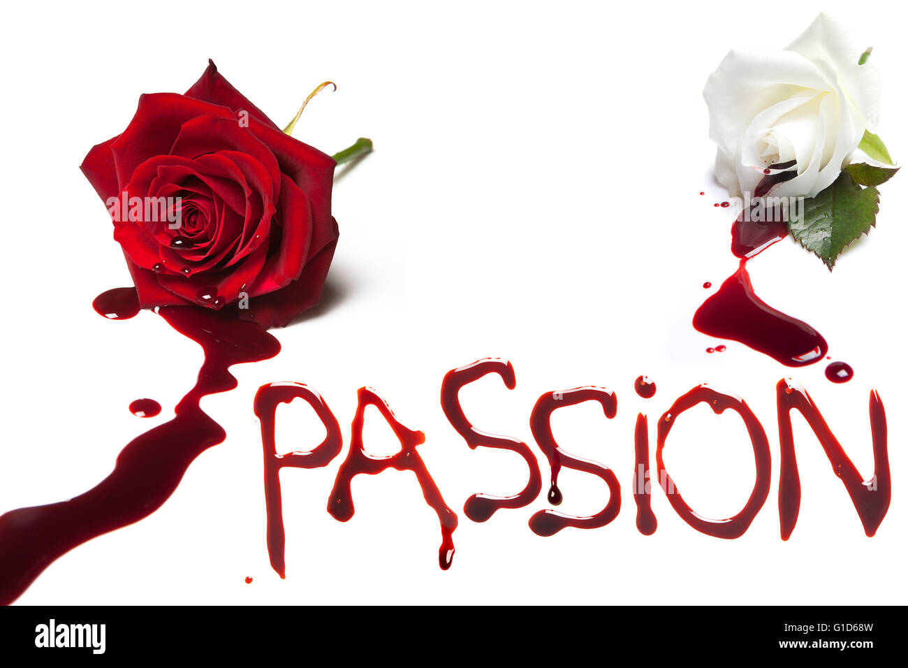 Bleeding rose hi-res stock photography and images - Alamy