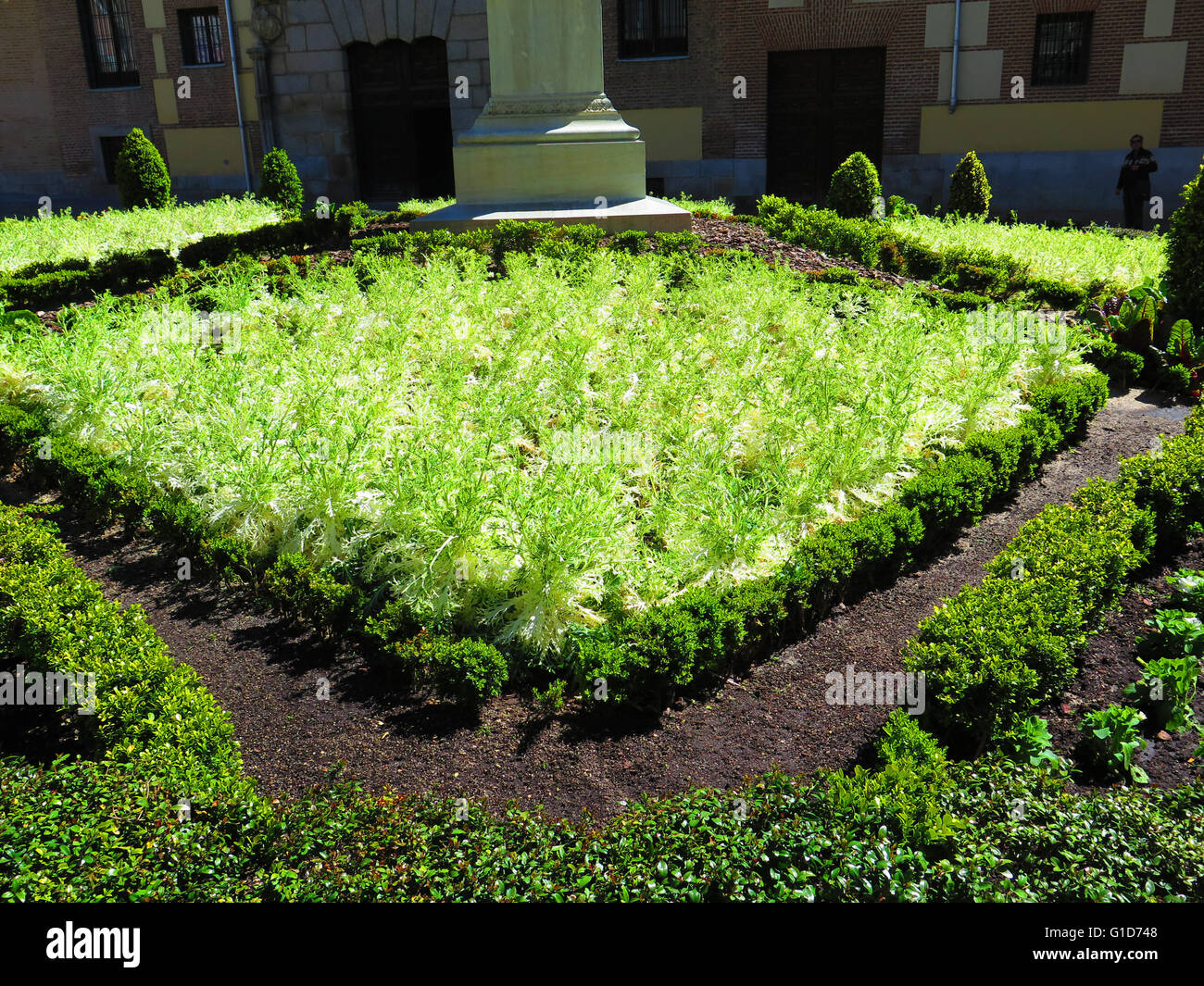 Madrid sunshine hi-res stock photography and images - Alamy