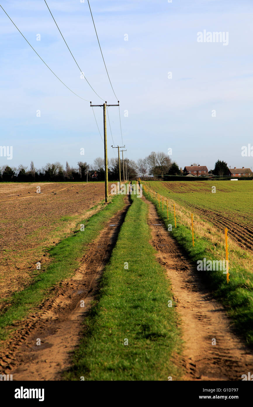 Telegraph poles carrying electricity power cables pathway through ...