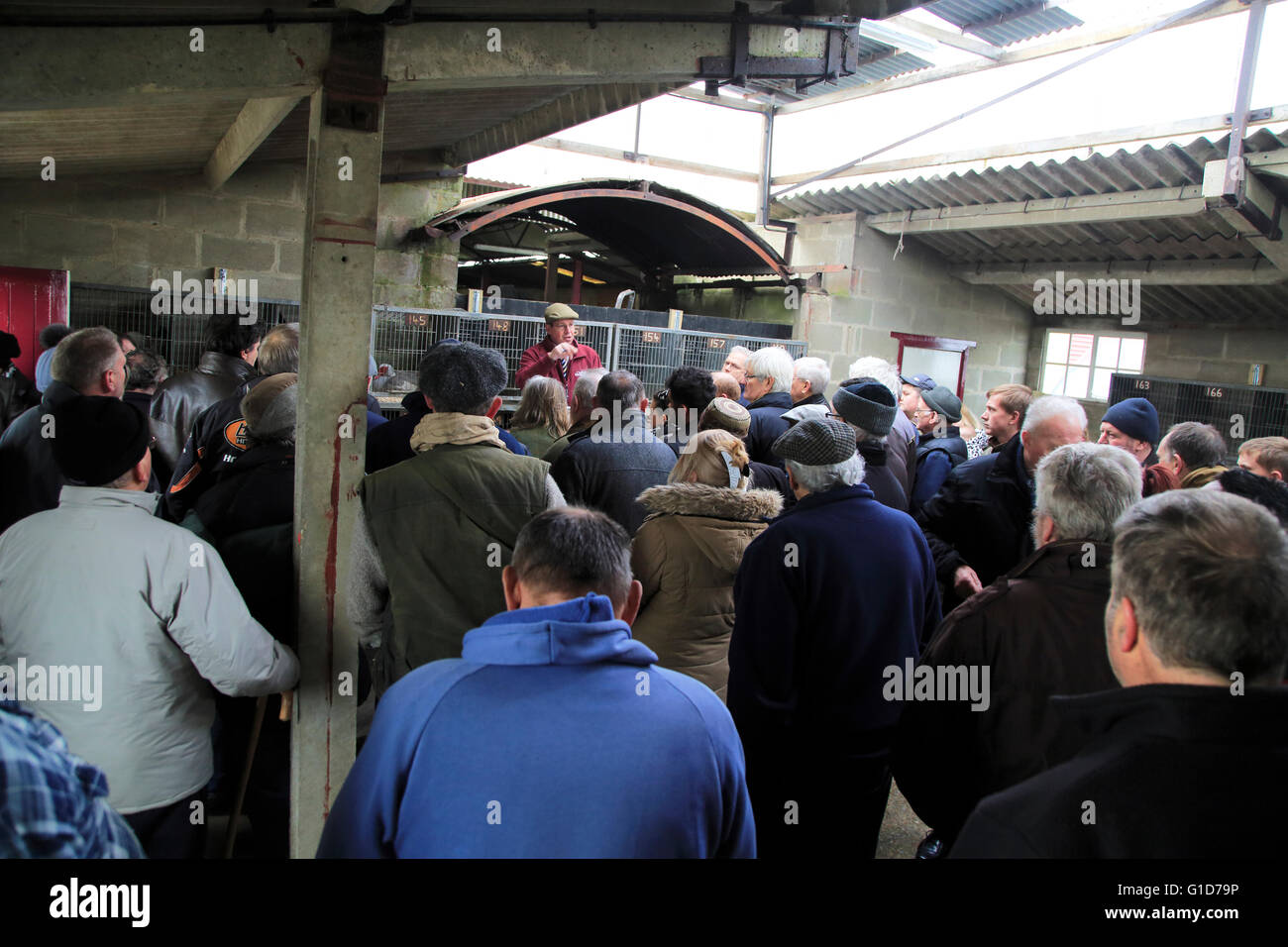 Traditional country auction, Campsea Ashe, Suffolk, England, UK Stock ...