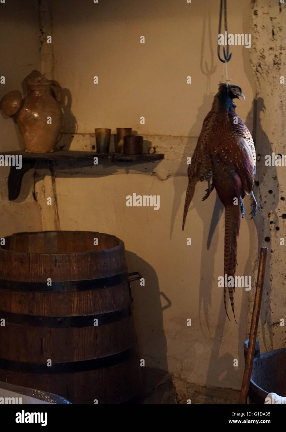 Elizabethan; pheasant hanging in a Tudor kitchen; England circa 1580 ...