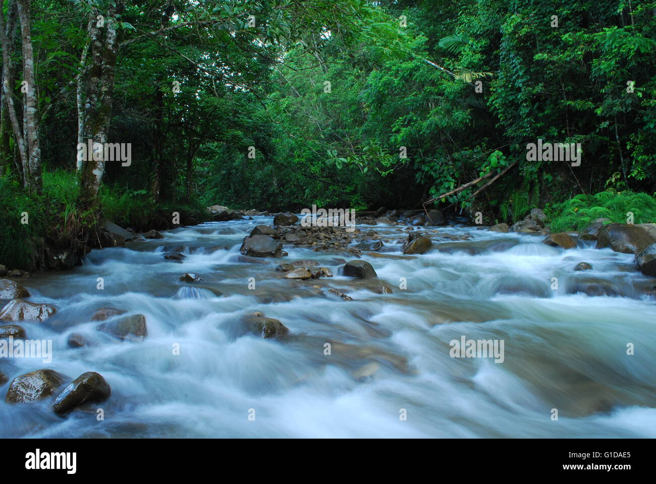 The upstream located in Sunsuron, Tambunan, Sabah, Malaysia Stock Photo ...