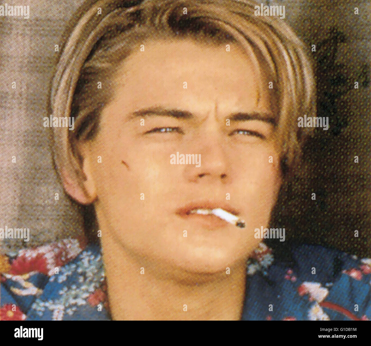 Leonardo DiCaprio - Das Portrait / Leonaro DiCaprio Stock Photo - Alamy