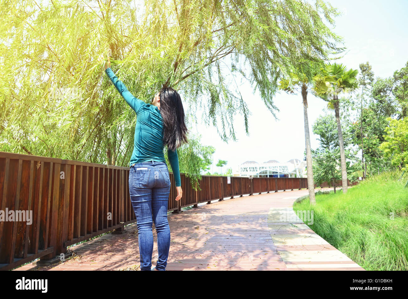 Girl rising her hand to touch leaves Stock Photo - Alamy