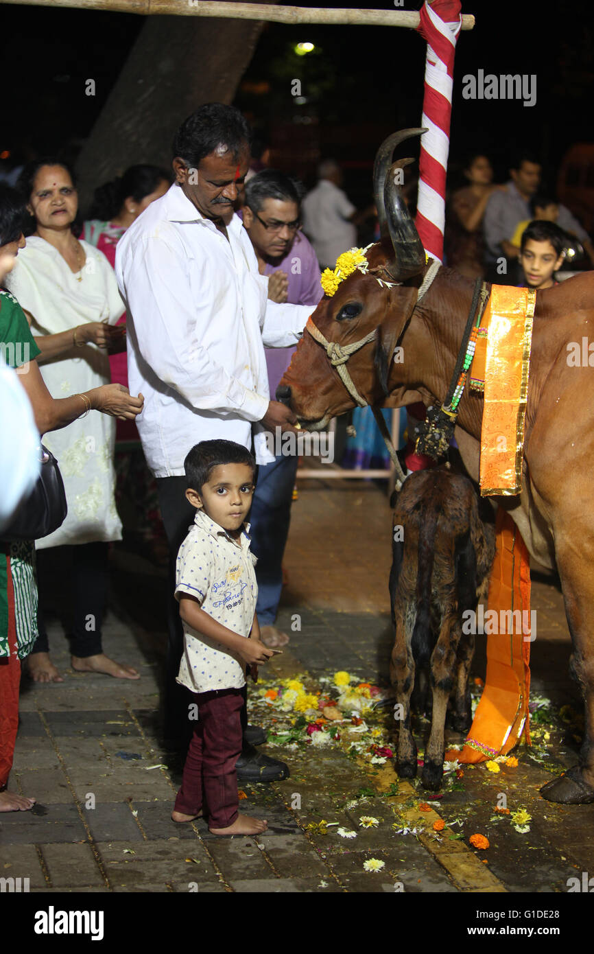 Worship of the cow hi-res stock photography and images - Alamy