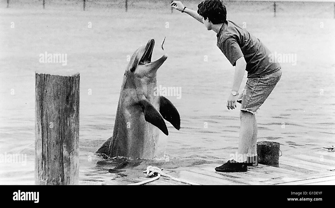 Flipper film Black and White Stock Photos & Images - Alamy