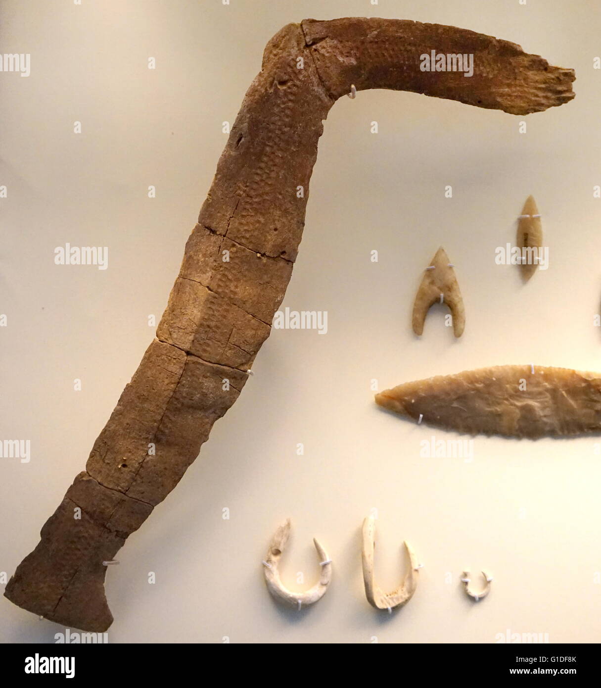 Tools from ancient Egypt. Dated 7th Century BC Stock Photo - Alamy