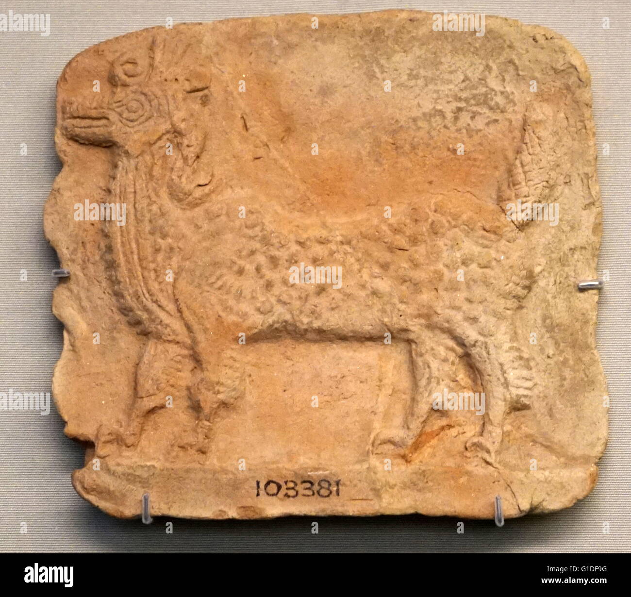 Mushhushshu hi-res stock photography and images - Alamy