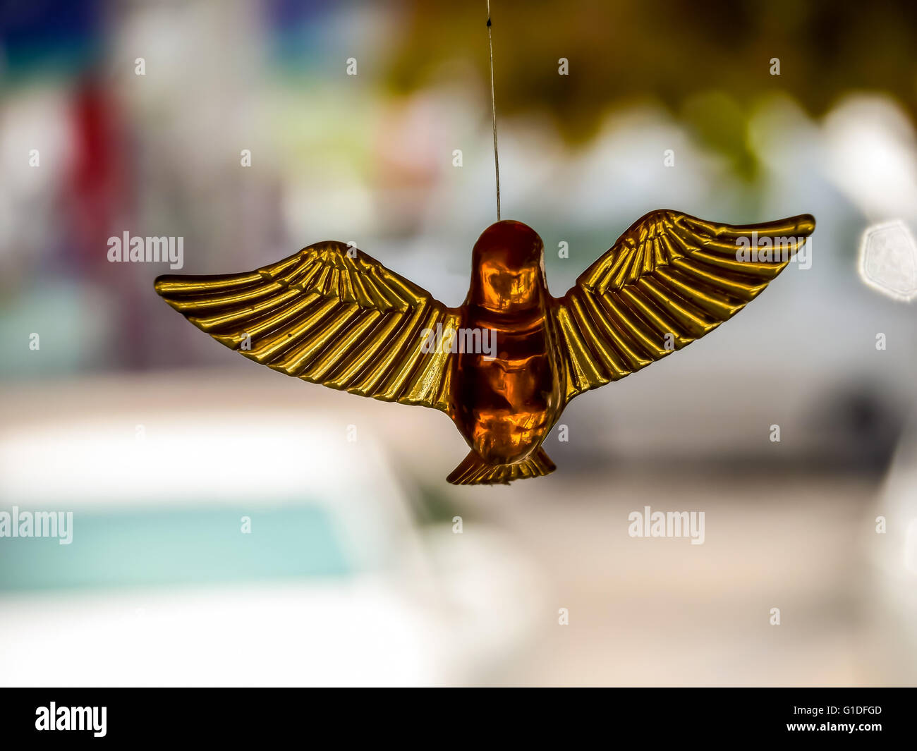 Small bird on a string hi-res stock photography and images - Alamy