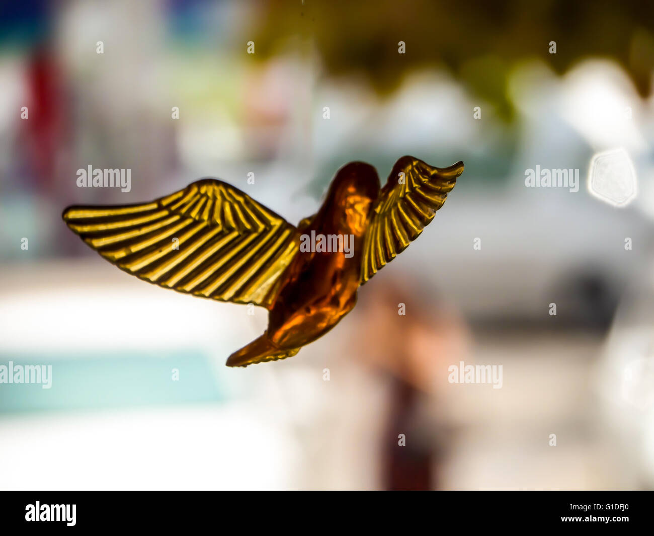 Small bird on a string hi-res stock photography and images - Alamy