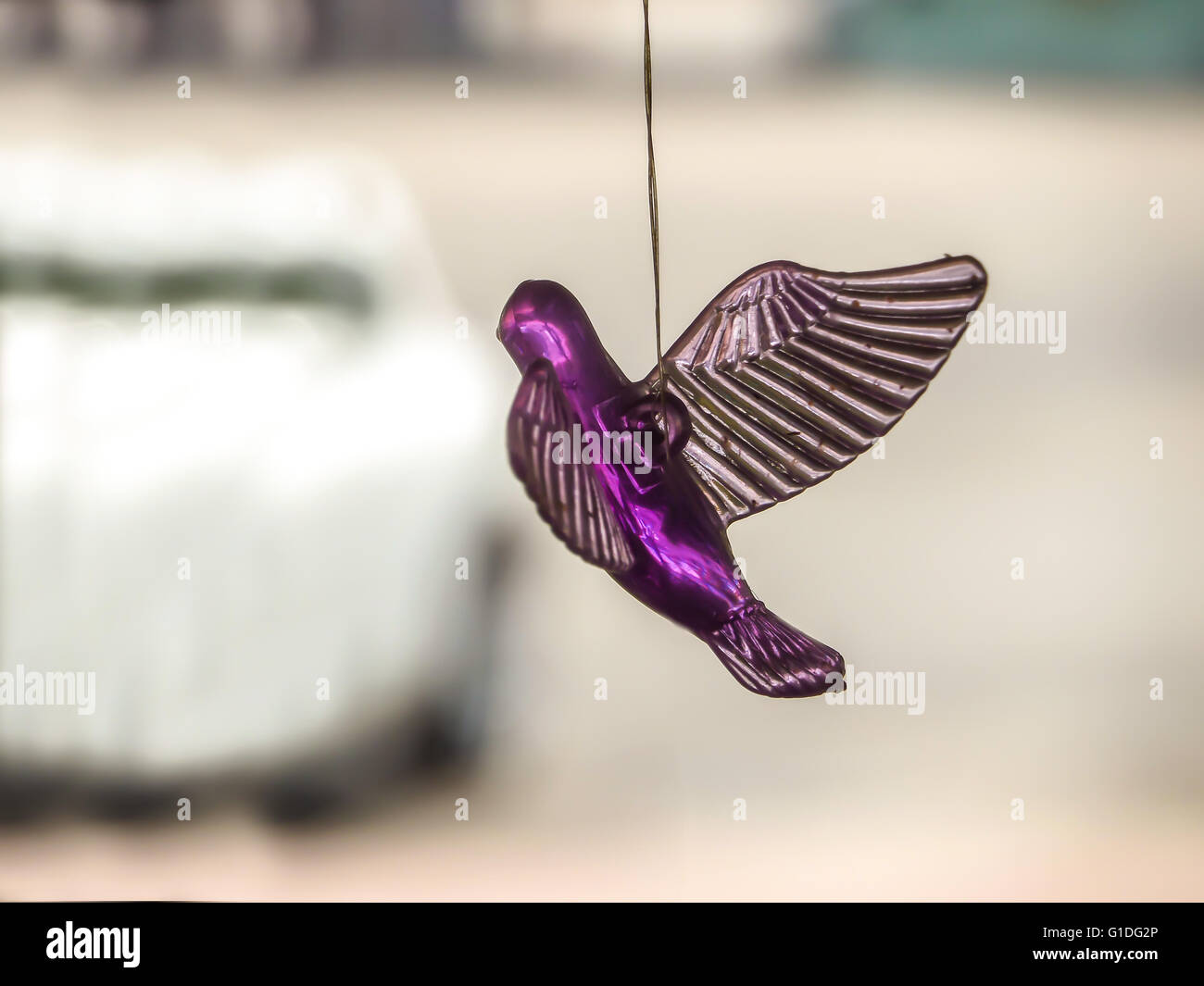 Small bird on a string hi-res stock photography and images - Alamy