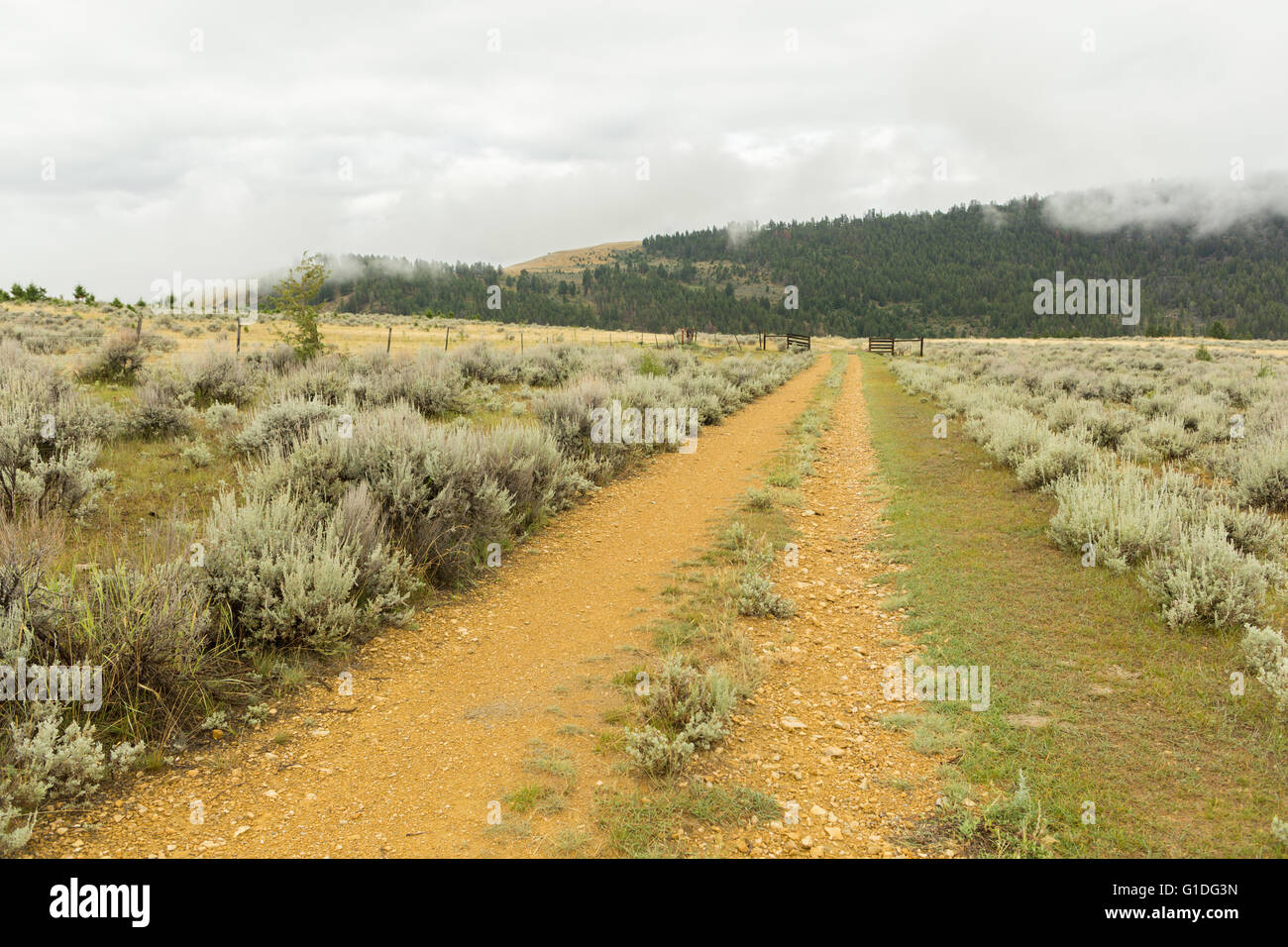 old dirt road on a ranch in Montana Stock Photo - Alamy