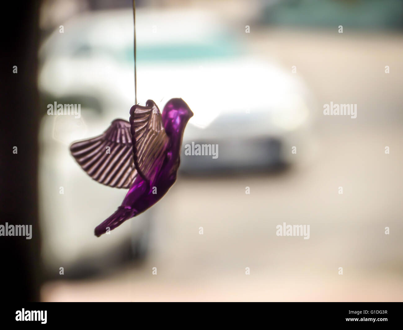 Bird made up string hi-res stock photography and images - Alamy