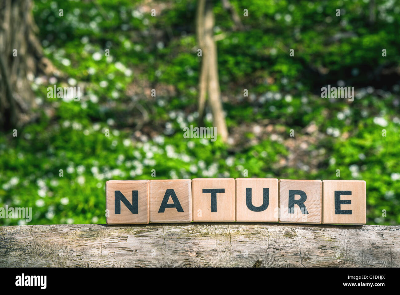 Nature sign in a green forest in the springtime Stock Photo - Alamy