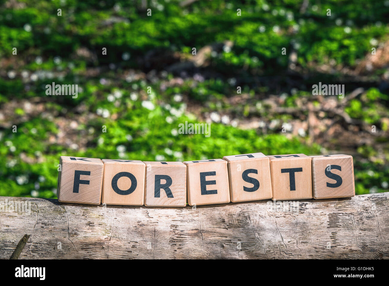Woodland sign made of wood hi-res stock photography and images - Alamy