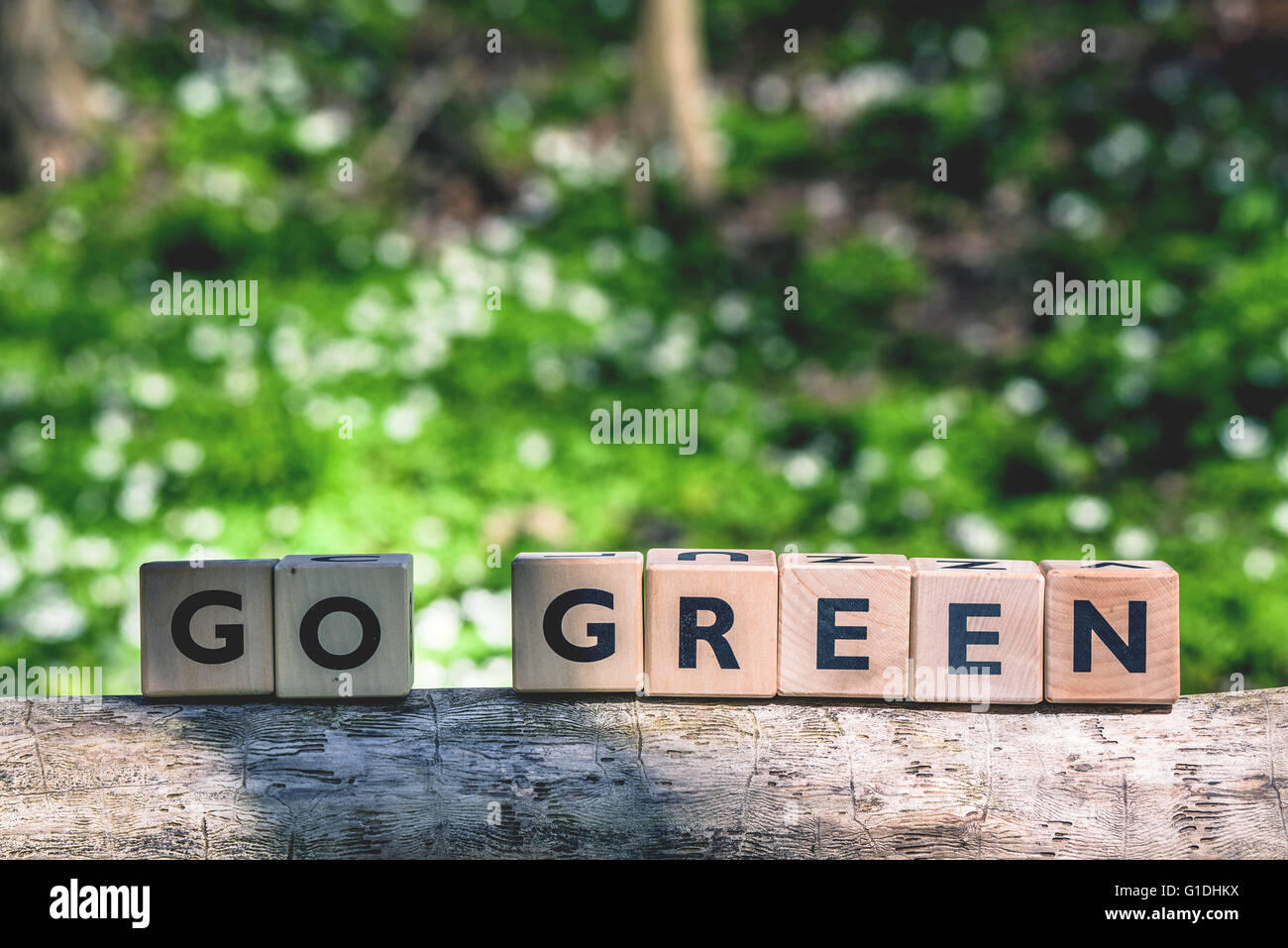 Go green message in a forest at springtime Stock Photo - Alamy