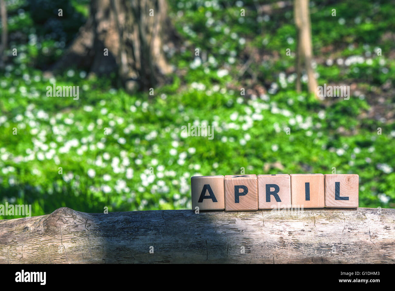 April sign in a green garden in the spring Stock Photo - Alamy