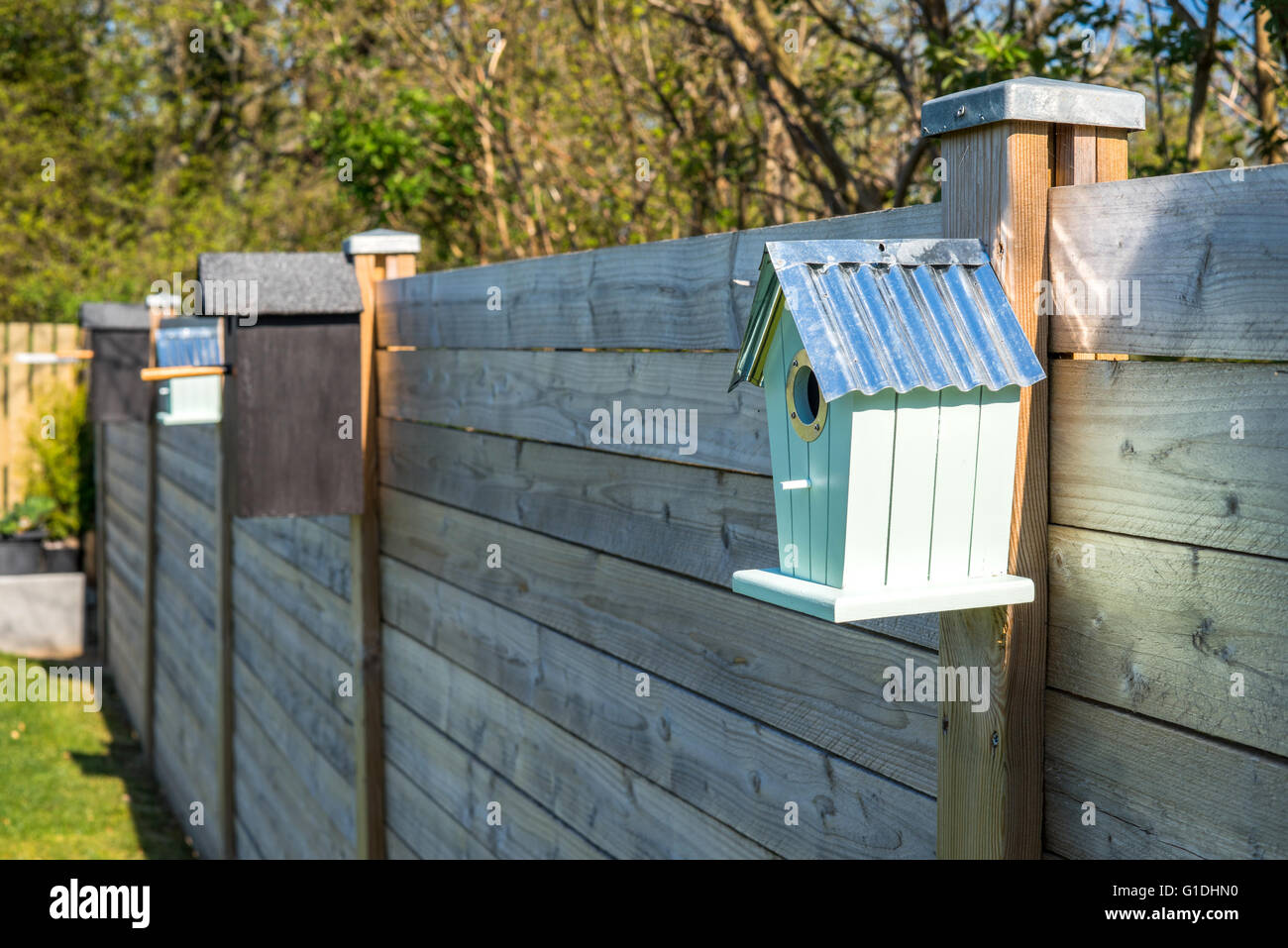 Bird houses on a row at a fence in the spring Stock Photo - Alamy