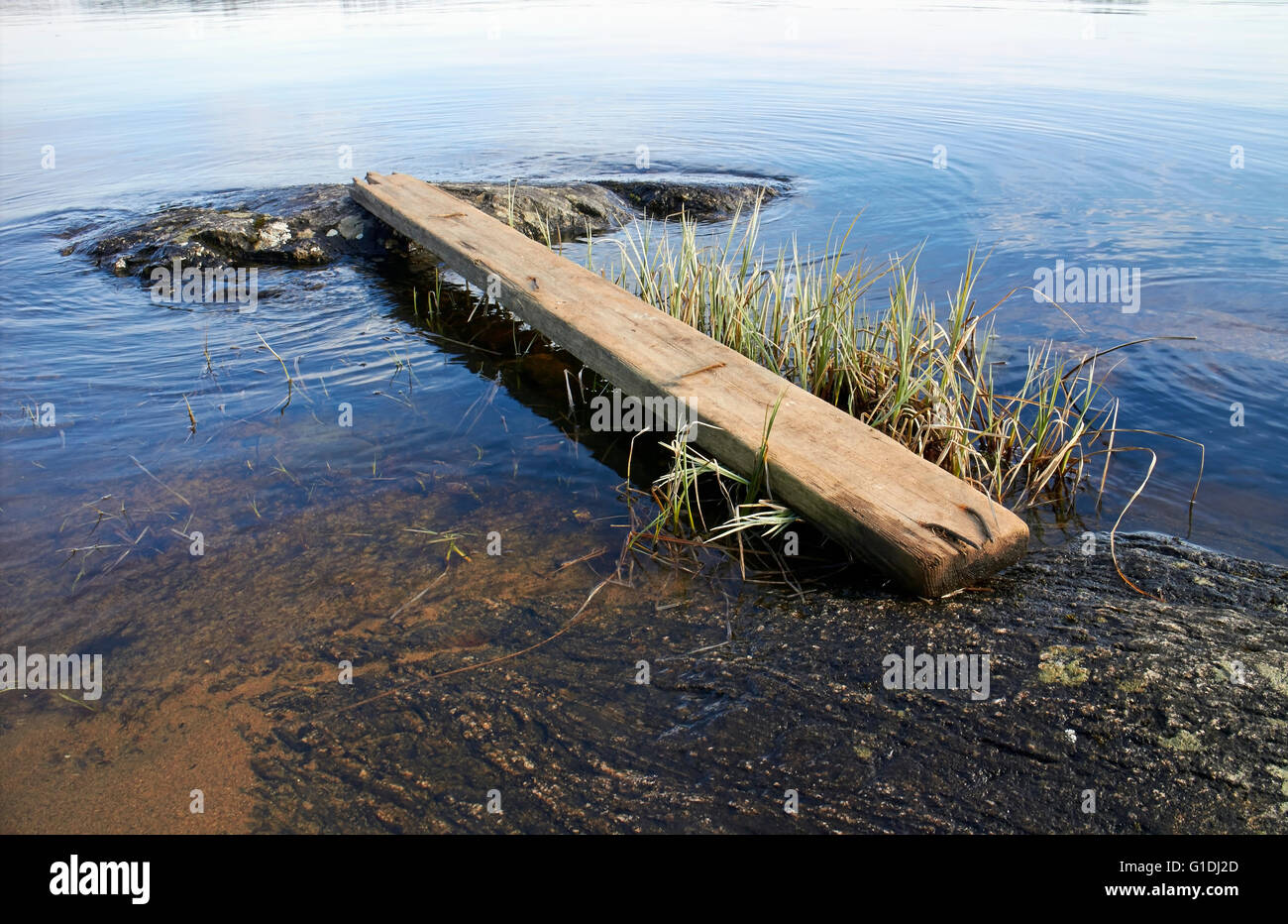 Plank over lake hi-res stock photography and images - Alamy