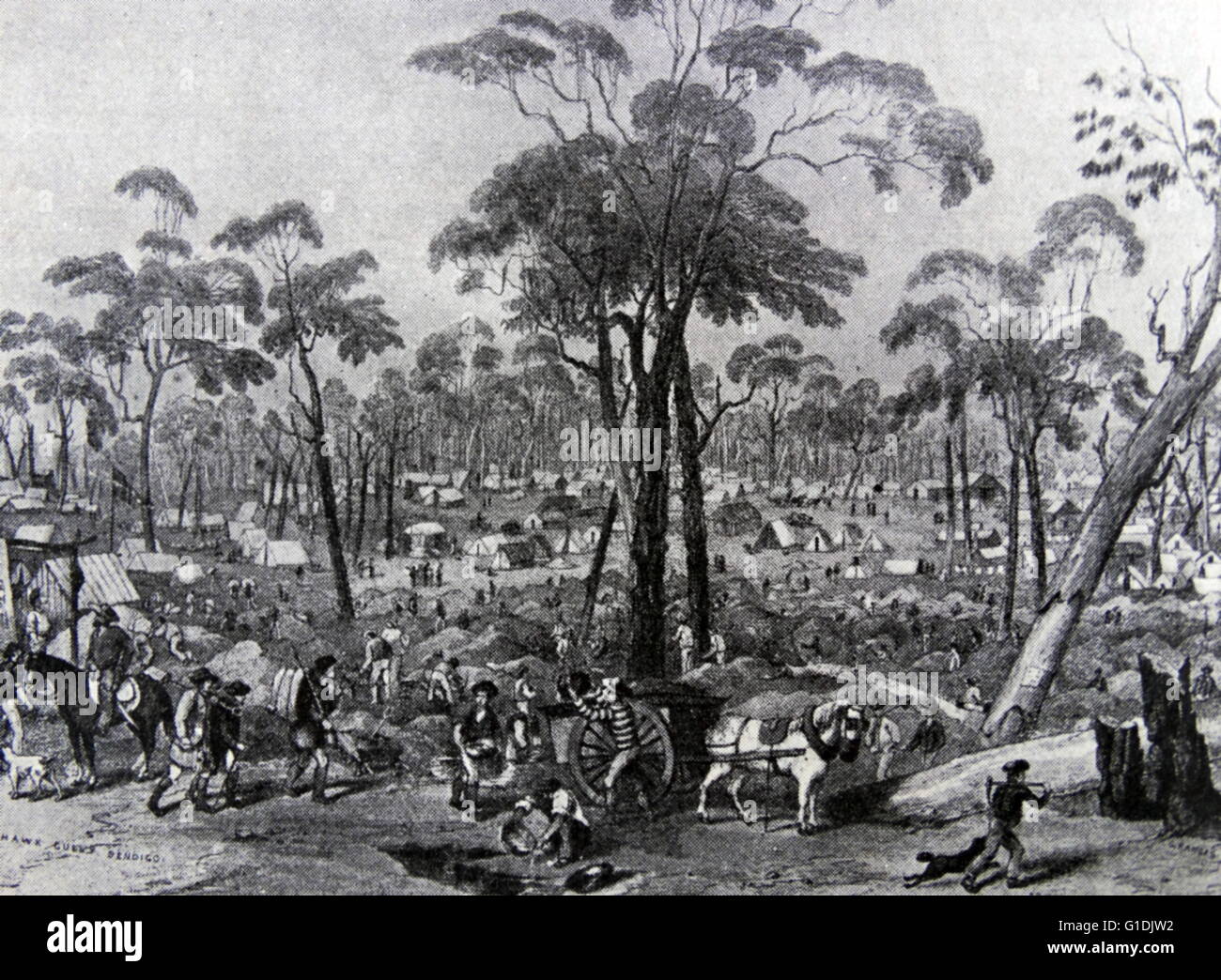 Victorian Gold Mines