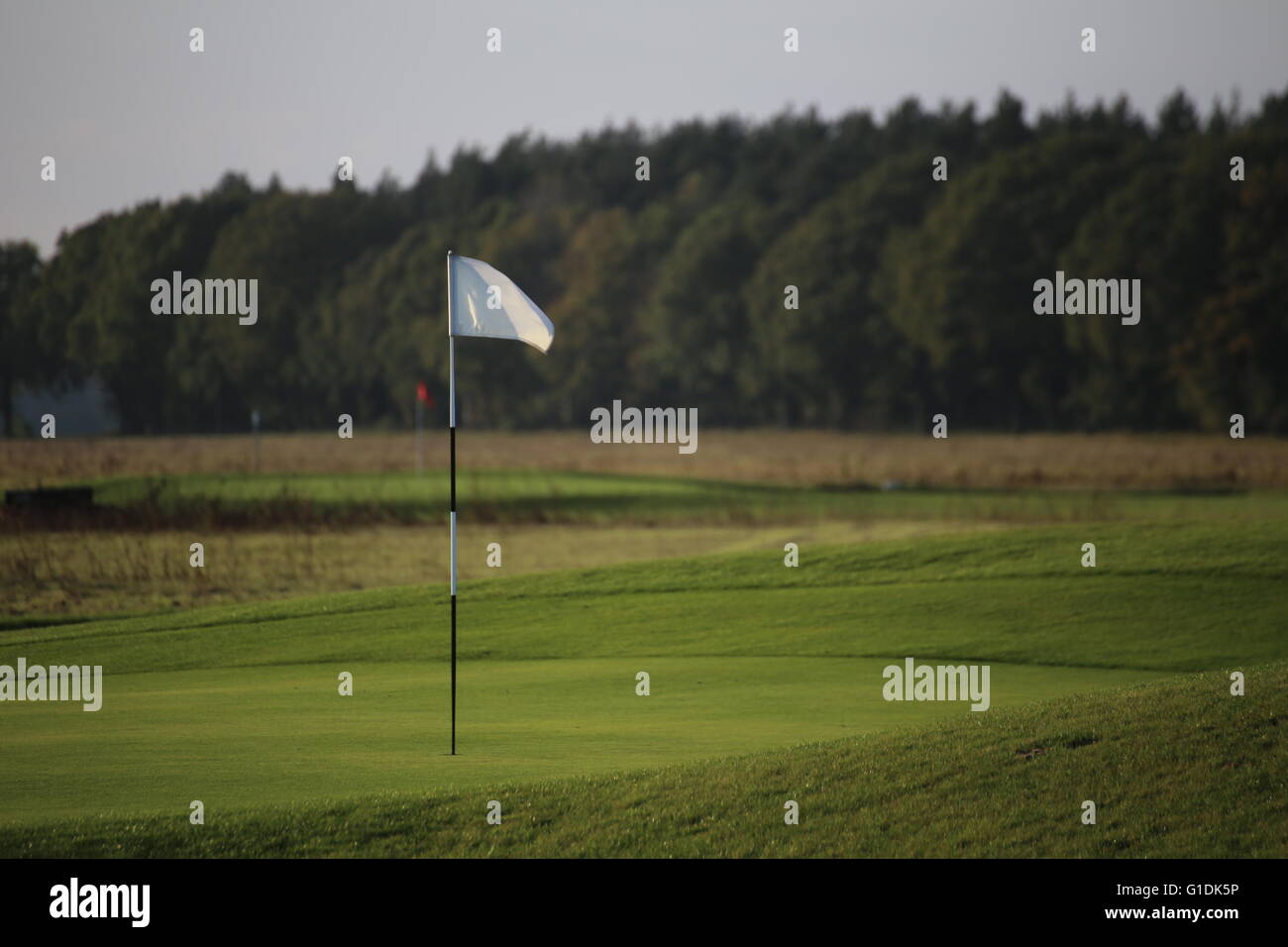 White flag on golf course Stock Photo - Alamy