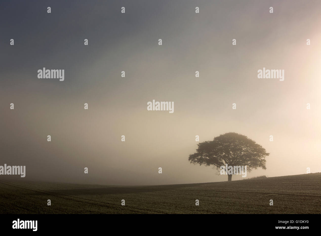 Old winchester hi-res stock photography and images - Alamy