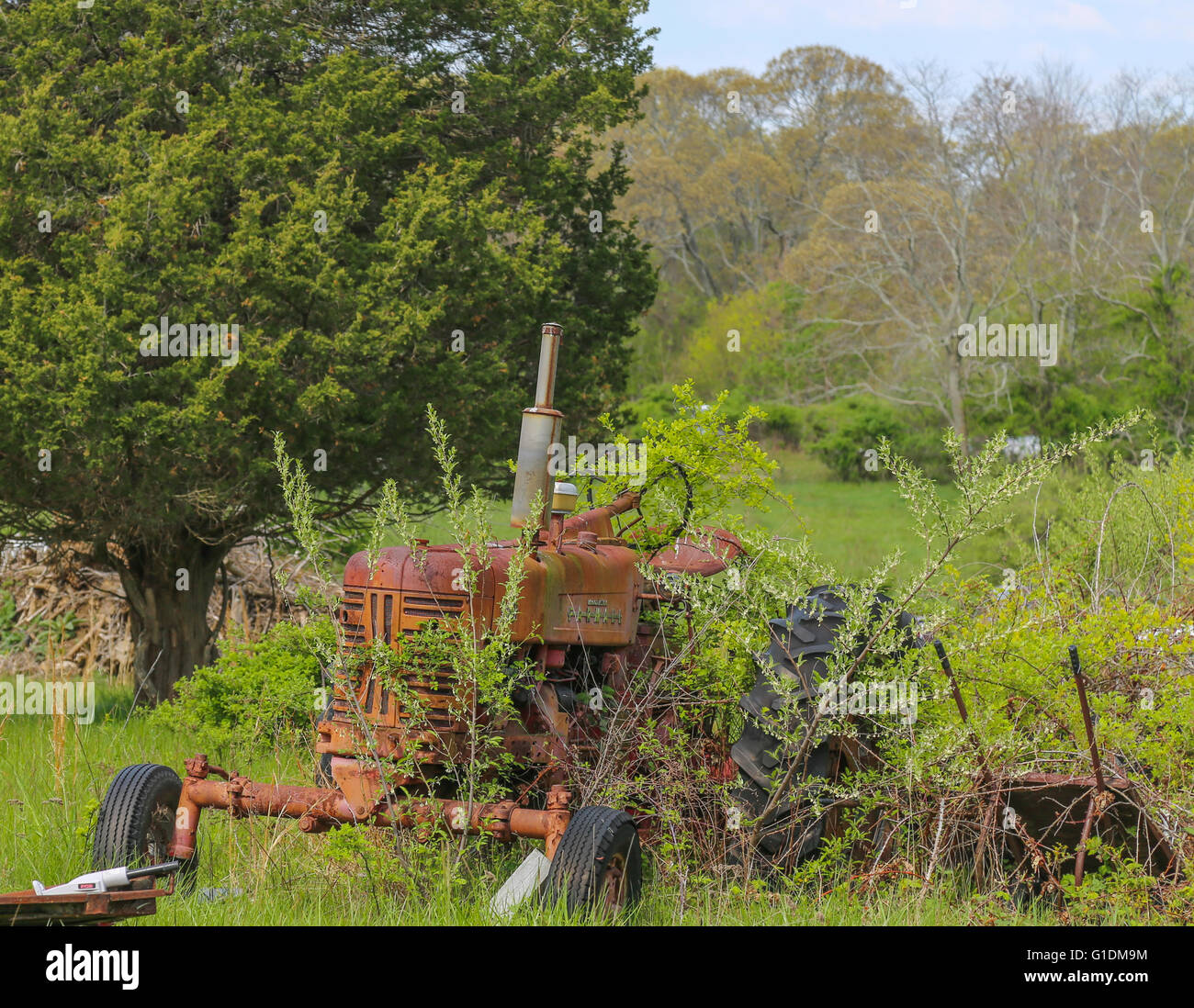 Overgrown old farm equipment hi-res stock photography and images - Alamy