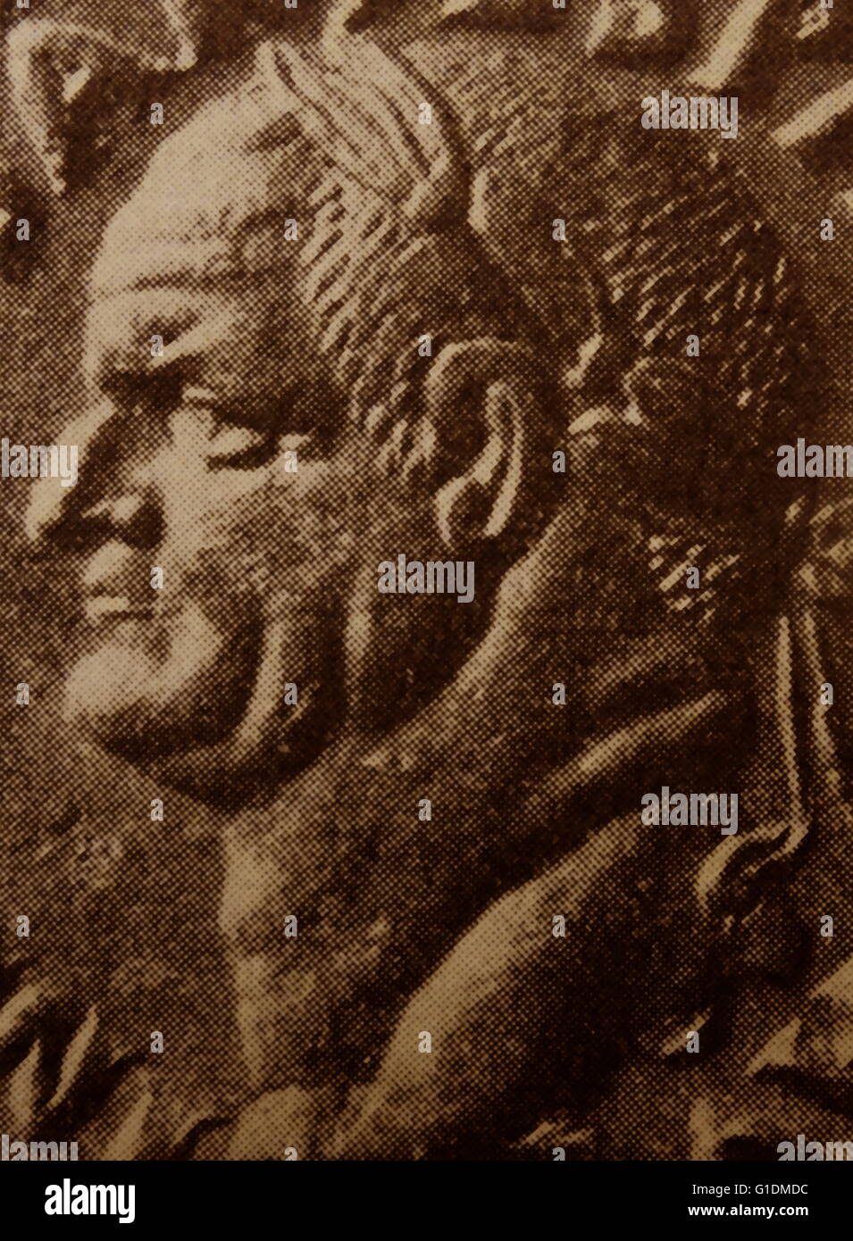 Flavian dynasty hi-res stock photography and images - Alamy