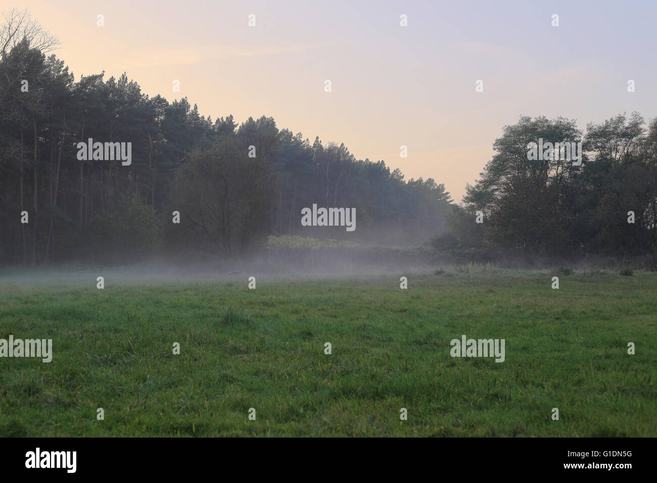 HDRI of a fog over meadow in the evening Stock Photo - Alamy