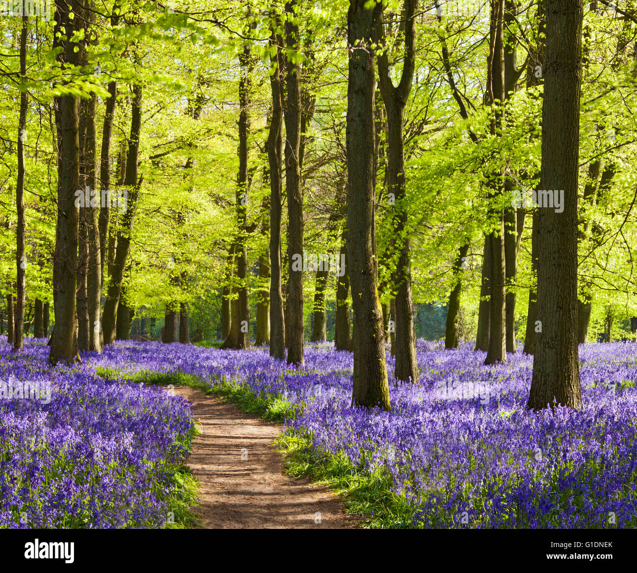 Dockey wood hi-res stock photography and images - Alamy