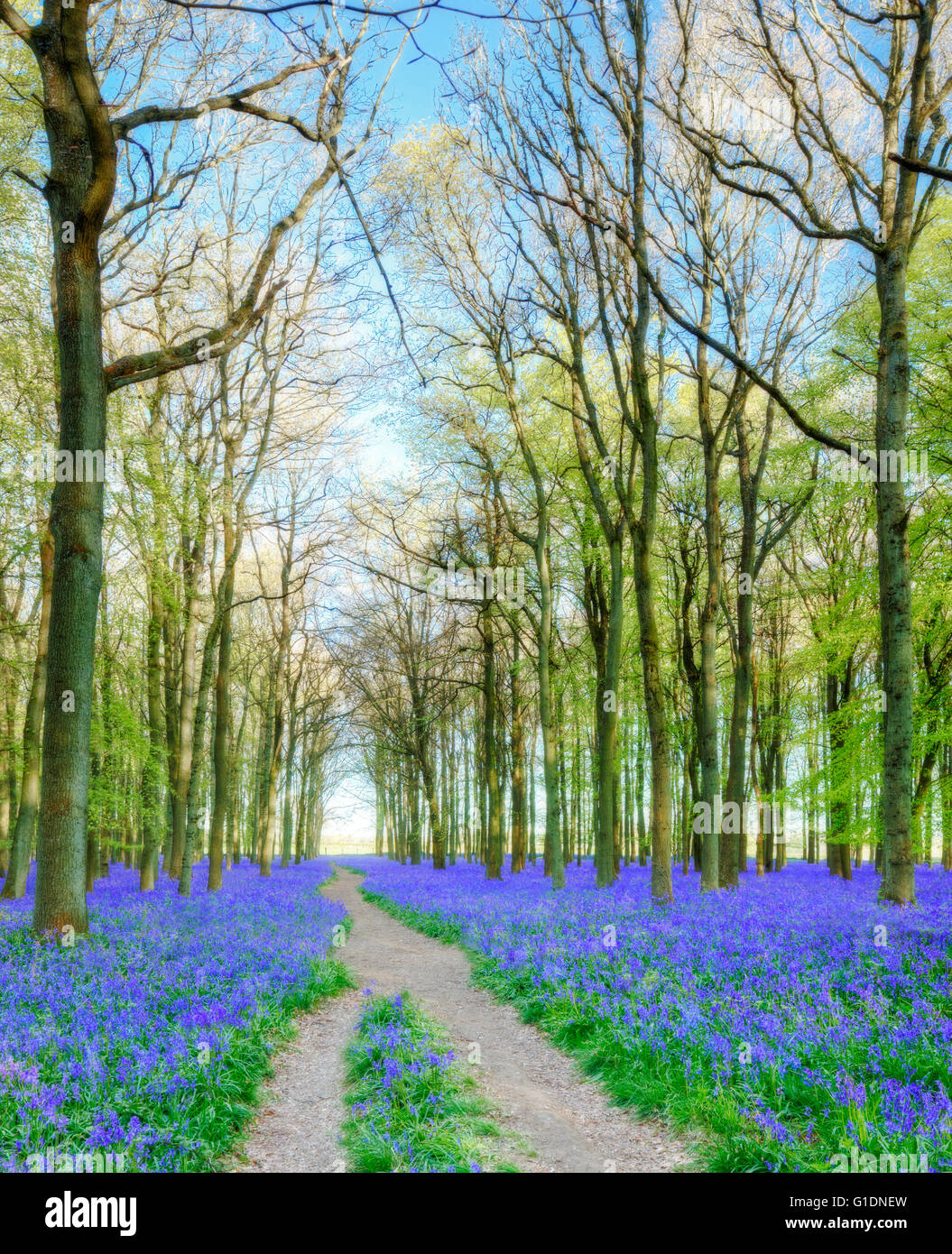 Dockey wood hi-res stock photography and images - Alamy