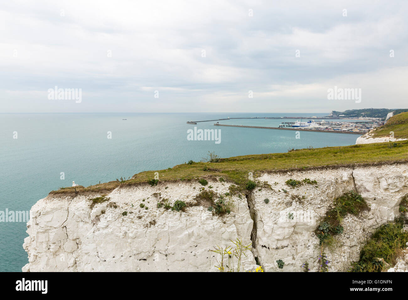 The harbour and the White Cliffs of Dover, Dover, Kent, UK Stock Photo ...