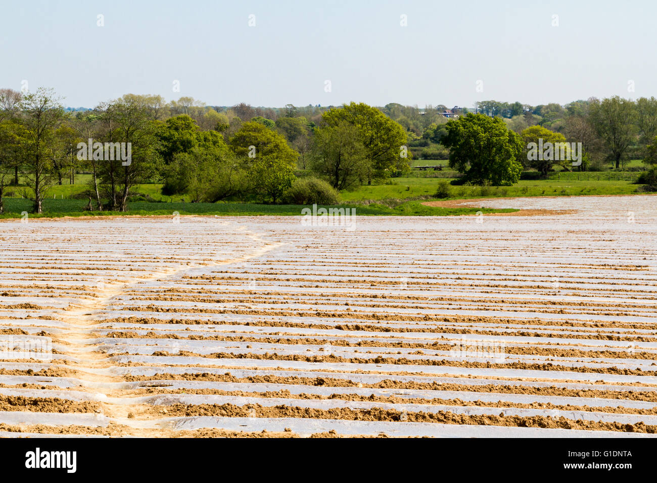 Path through farm land hi-res stock photography and images - Alamy
