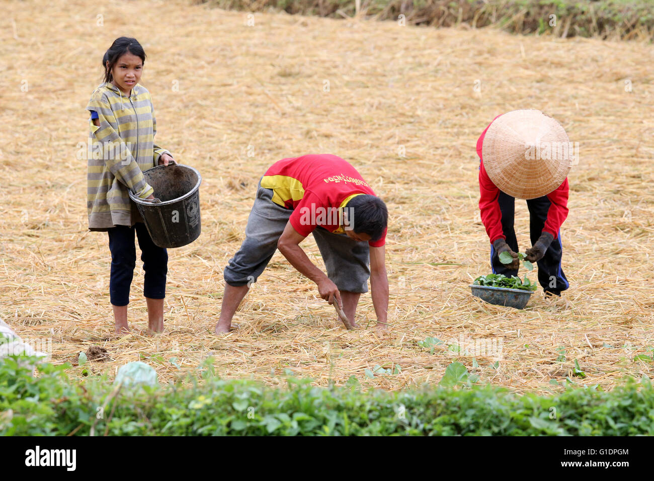 Laos rural girl hi-res stock photography and images - Alamy