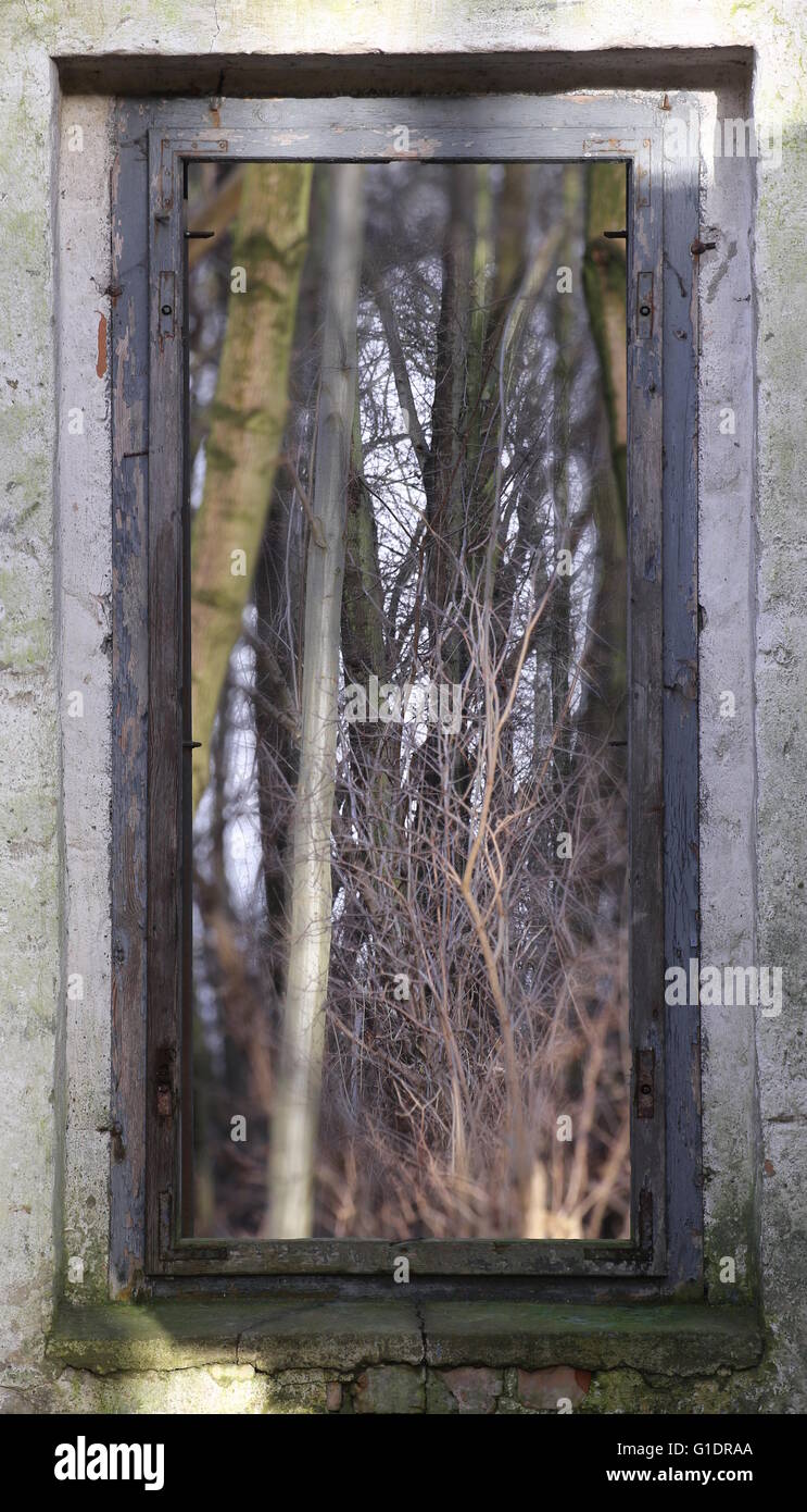 Look through a window of a ruined house in the forest with a creative ...