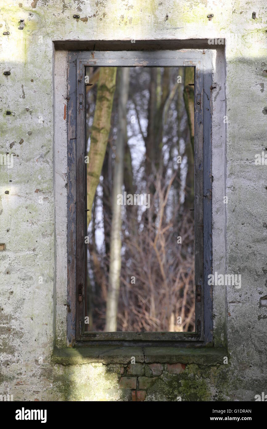 Look through a window of a ruined house in the forest with a creative ...