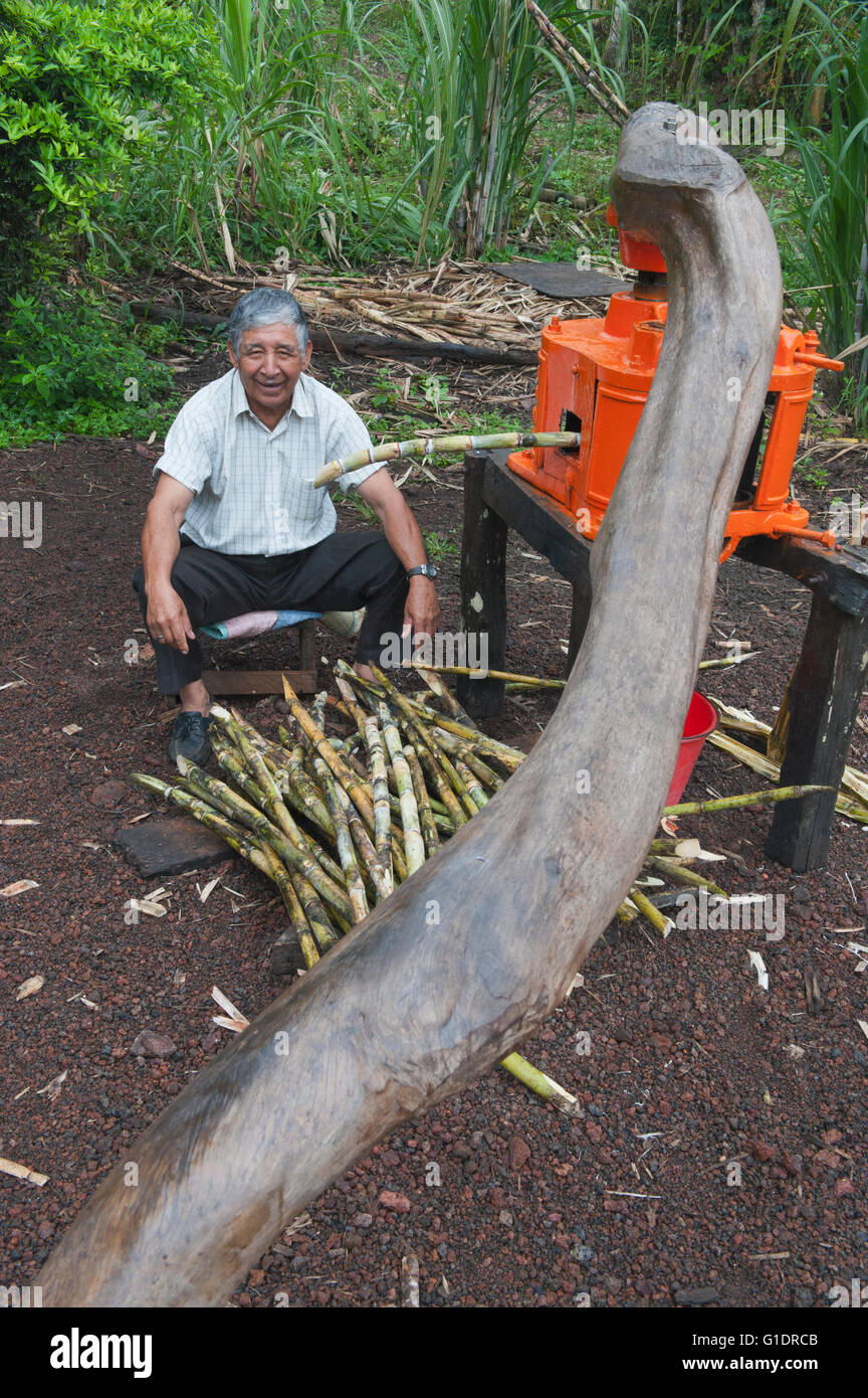 Antonio, owner of El Trapiche Farm, with traditional sugar cane press ...