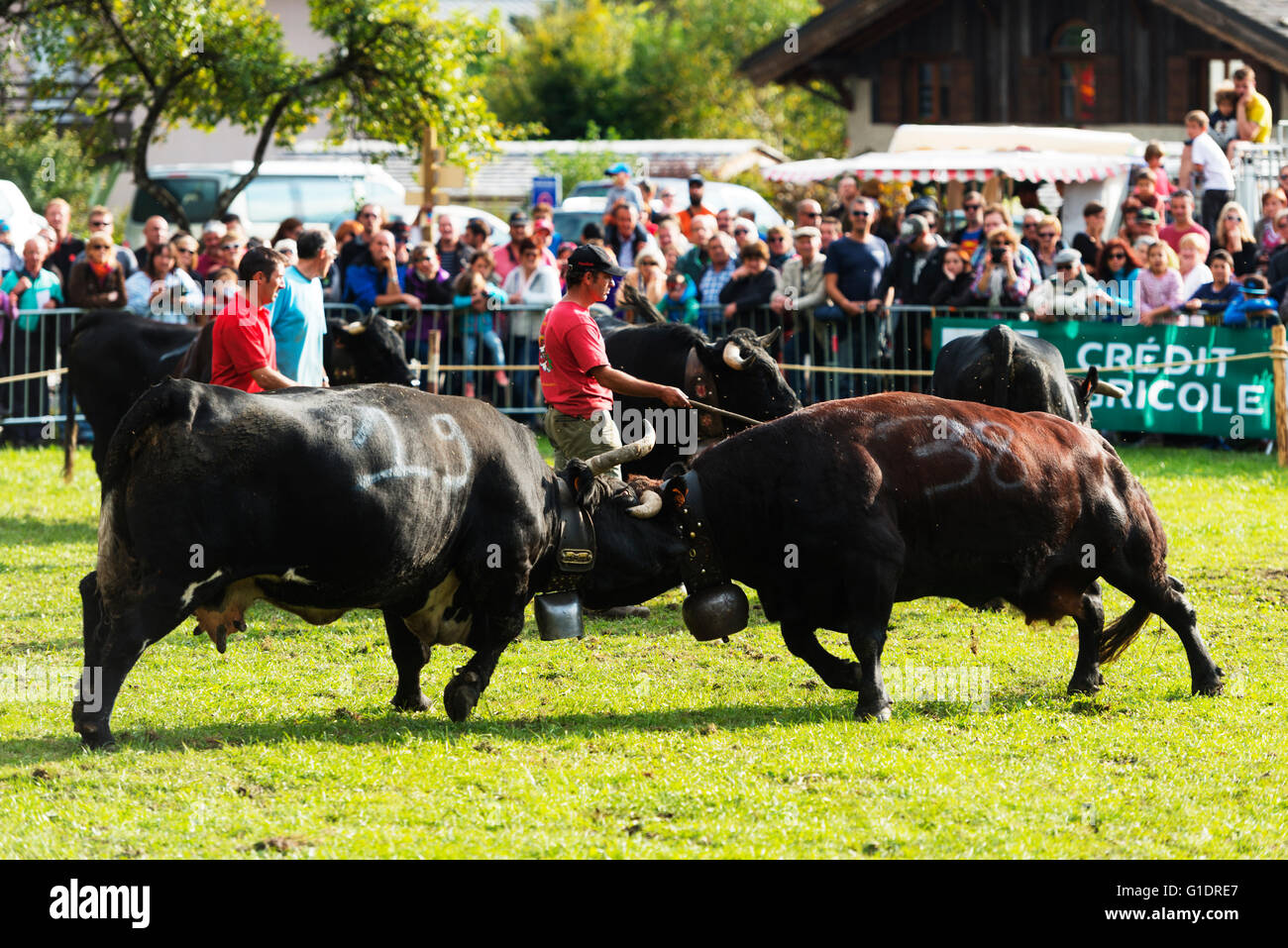 Reines hi-res stock photography and images - Alamy