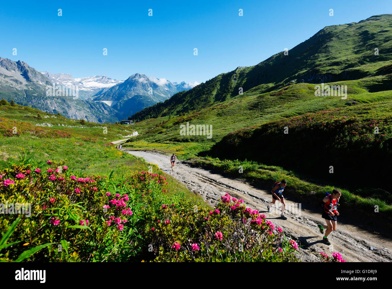 Chamonix world championships hi-res stock photography and images - Alamy