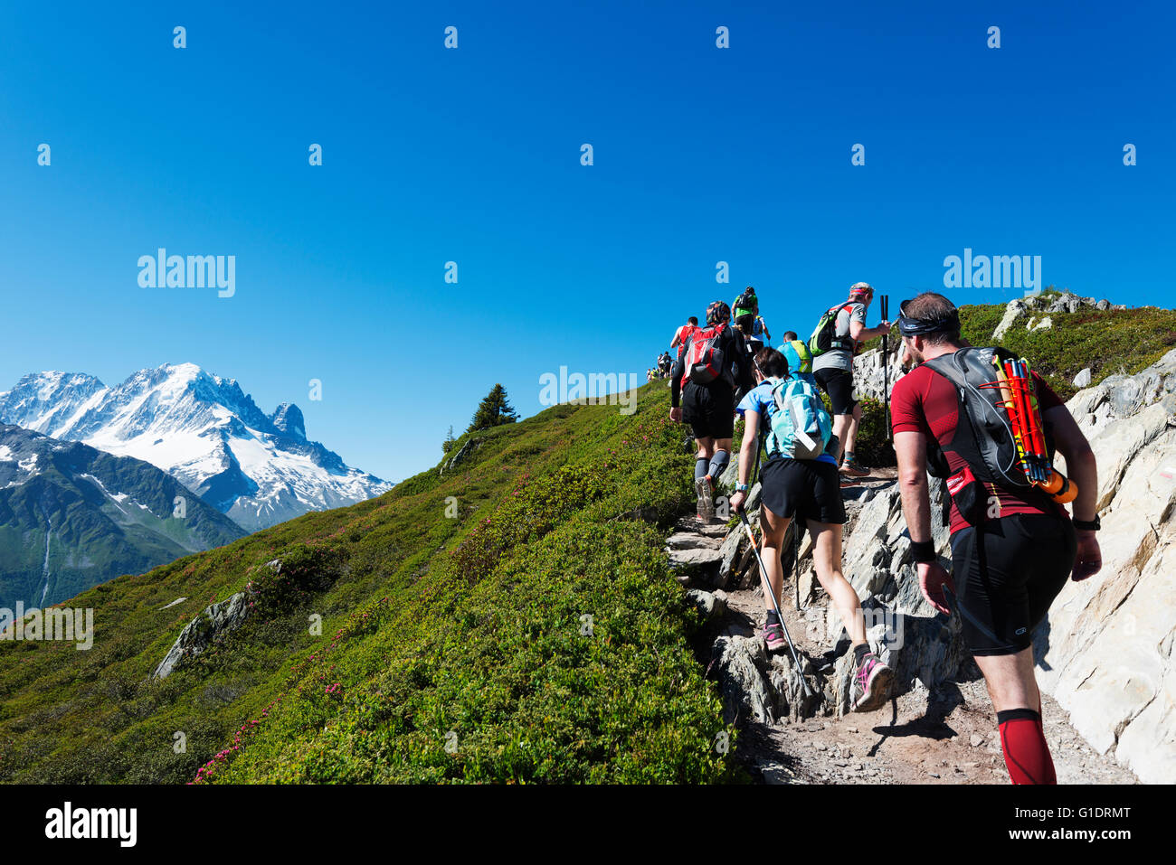 Europe, France, Haute Savoie, Rhone Alps, Chamonix, Chamonix trail ...