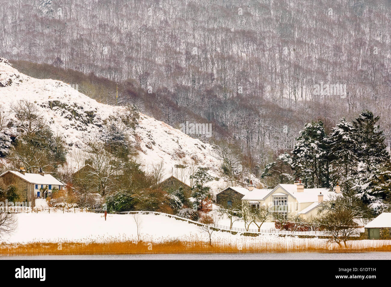 Winter at Nibthwaite at the south end of Coniston Water, a place very ...