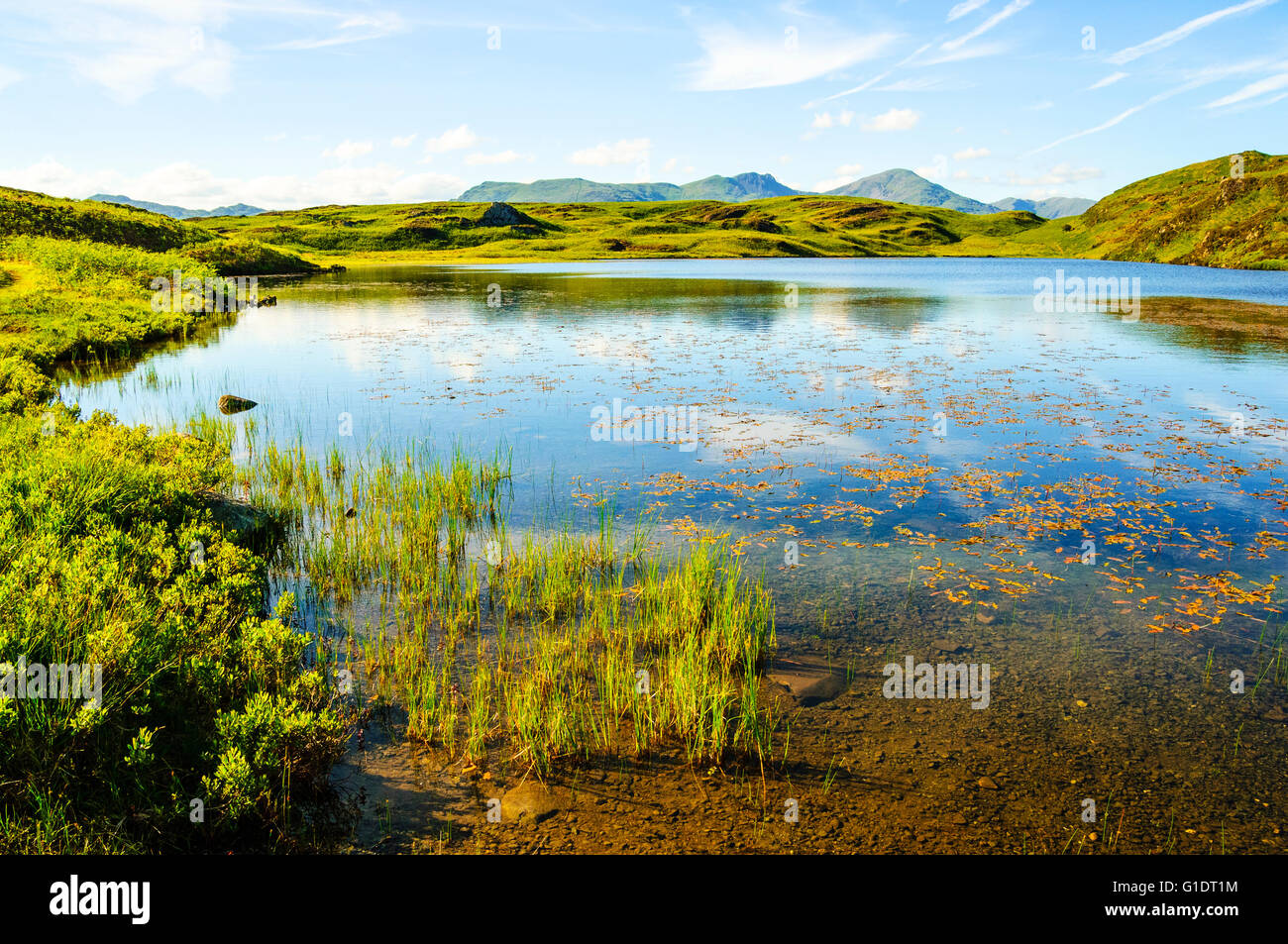 Beacon Tarn on Blawith Fells looking to Dow Crag & Coniston Old Man ...