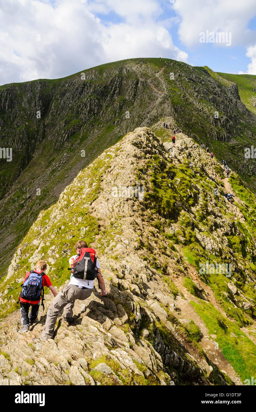 Looking along Striding Edge towards Helvellyn in the Lake District ...
