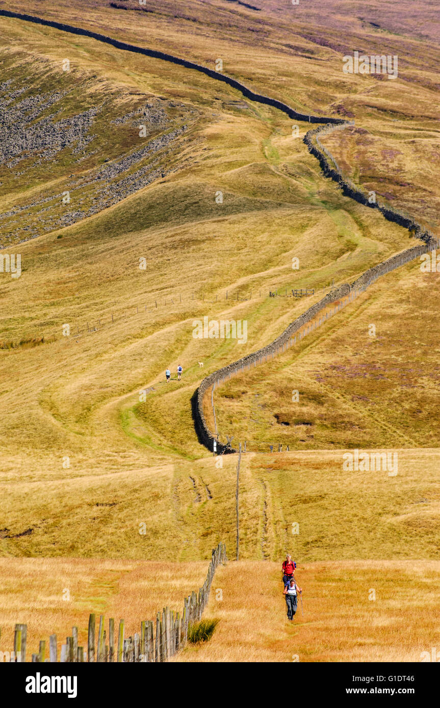 Walkers on the ridge between Parlick and Fair Snape Fell in the Forest ...