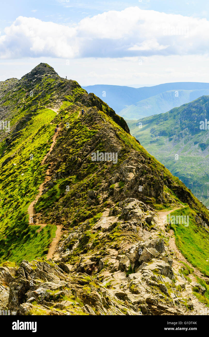 Looking along Striding Edge on Helvellyn in the Lake District Stock ...